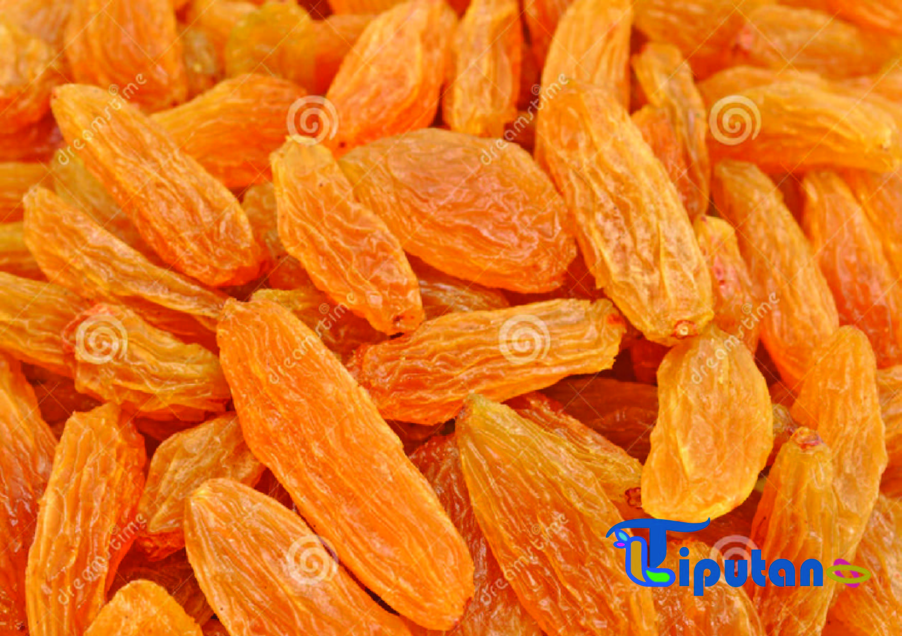 Jenis Makanan yang bikin cepat gemuk dalam Seminggu | Tribun Liputan